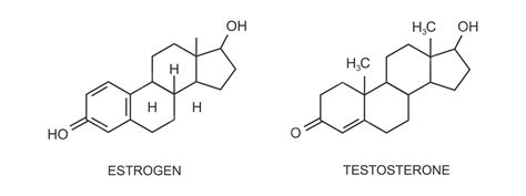 Premium Vector Testosterone And Estradiol Icons Chemical Molecular