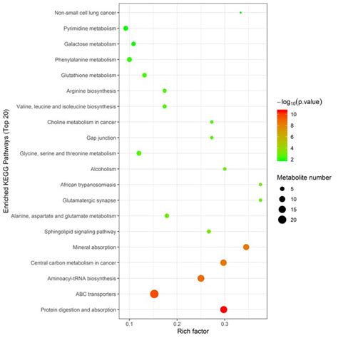 hierarchical clustering heat map of 98 differential metabolites between