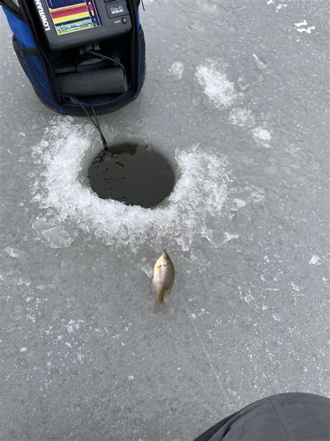 E47 B8 F6 B F9 F1 4693 Be3 D F0 E2 F05 F8 D07 — Postimages