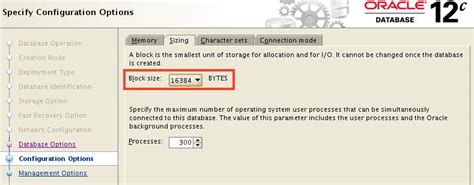 Different Block Sizes When You Plugin Upgrade Your Database Now
