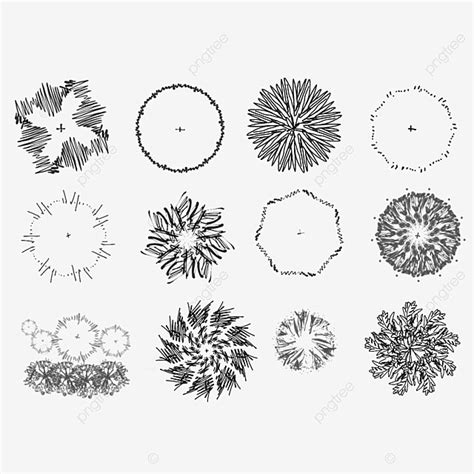 Tree Plan White Transparent Plan Big Tree Sketchtree Topview