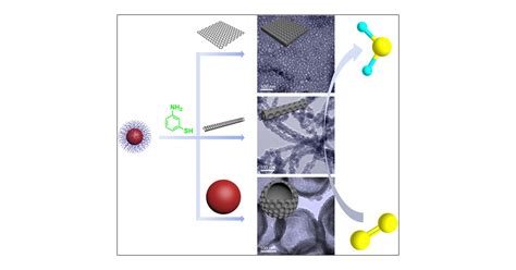 Ns Codoped Mesoporous Carbons Derived From Polymer Micelle Based Assemblies For The Oxygen