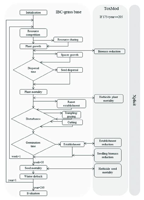 18 Flow Chart Of The Processes Within Ibc Grass Download Scientific