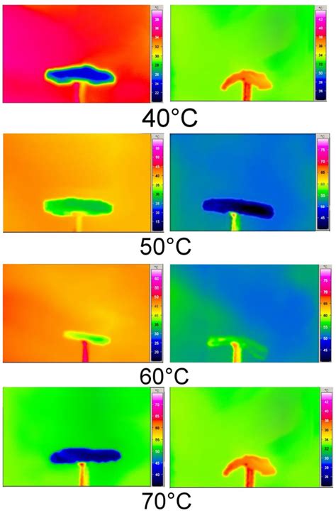 Monitoring Temperature Profile And Drying Kinetics Of Thin Layer Banana Slices Under Controlled