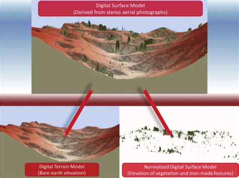 Digital Surface Model And Digital Terrain Model Download Scientific