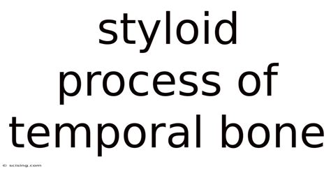 Styloid Process Of Temporal Bone