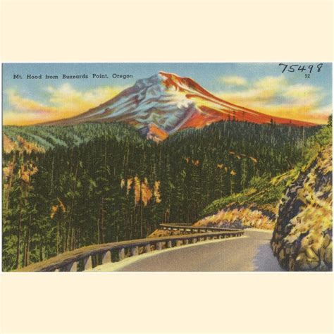 Vintage Oregon Postcard Collection 100 Oregon Landmarks Digital