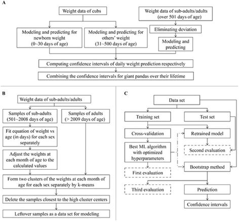Predicting Body Weight From Birth To Old Age In Giant Pandas Using Machine Learning