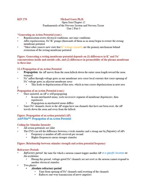 Kin 270 Unit 2 Neural Physiology Part 3 Pdf Chemical Synapse Action Potential