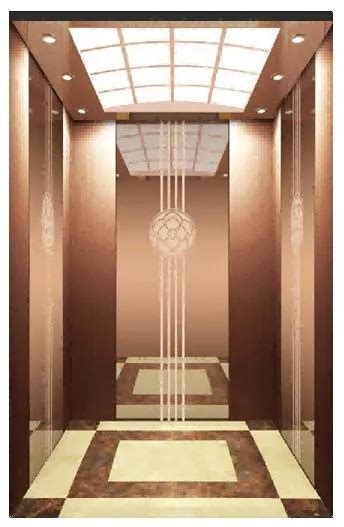 China Elevator Company Home Lift Sightseeing Elevator Nice And