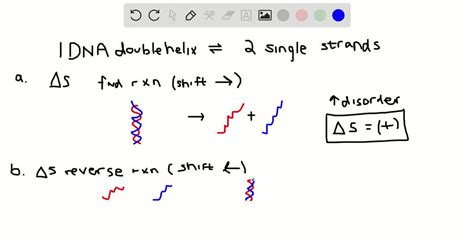 solved melting dna when a solution of dna in water is heated the dna