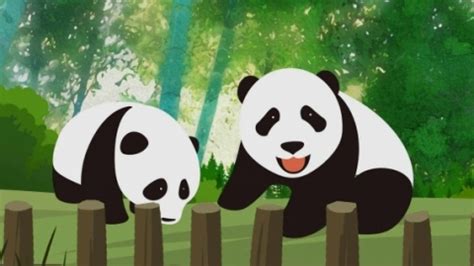22岁的丫丫约等于人类多少岁 天奇生活
