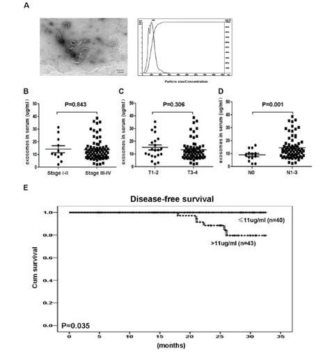 Tumor Derived Exosomes Promote Tumor Progression Exosome Rna