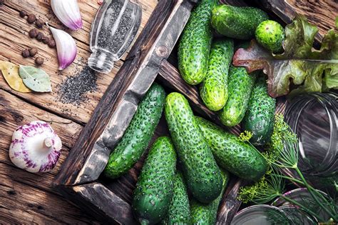 Картинки огурец (46 фото)