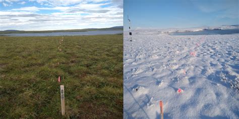 Data Collection T Mosaic