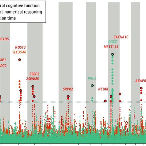 Conjunctional False Discovery Rate Fdr Manhattan Plot Of