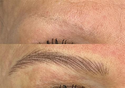 Phibrows Delphi Course Microblading And Shading