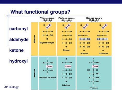 Chapter 5 Macromolecules Ppt Download Chapter 5 Macromolecules Ppt Download