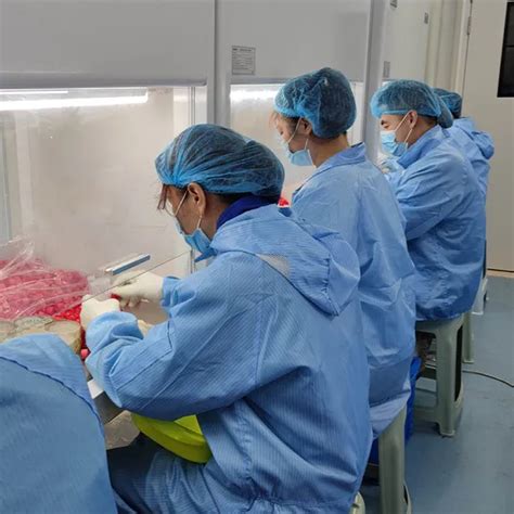 Biobase Gel Imaging Analysis System Pcr Gel Document Imaging System Automatic Gel Imaging