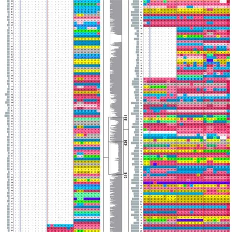 Alignment Of The Deduced Amino Acid Sequence Based On The Nsp2 Gene