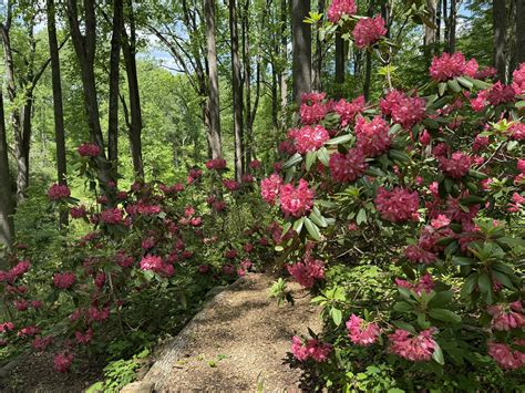 Wayne Guymon Wayne Guymon Added A New Photo