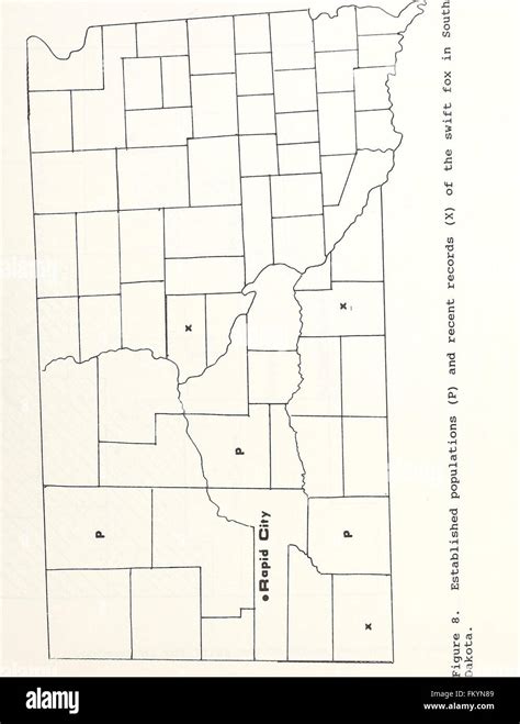 This Ecological And Taxonomic Review Examines The Swift Fox Vulpes