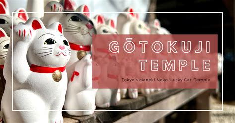 Gotokuji Temple Tokyos Must Visit Cat Sanctuary With 500 Years Of History