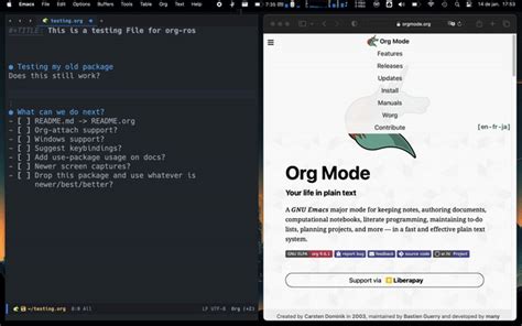 [org ros] screenshot utility for org mode and it s future r orgmode