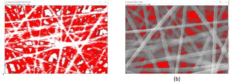 measurement of surface area using imagej background a nanofiber