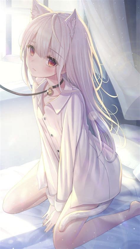 Hot Anime Cat