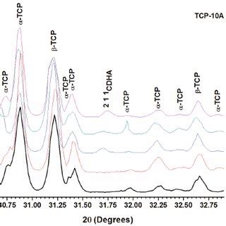 XRD Patterns Of TCP A Under In Situ Setting Condition Within Hours Download Scientific