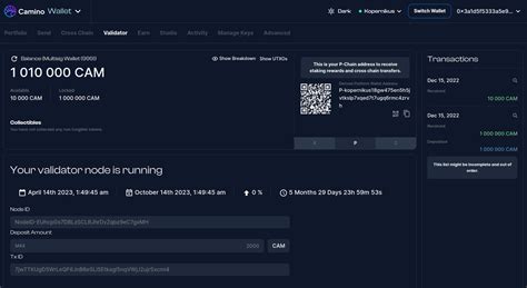 adding a validator node with multisig wallet camino docs