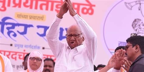 After Spectacular Lok Sabha Gains Sharad Pawar Sets Sights On Maharashtra Assembly Timelinedaily