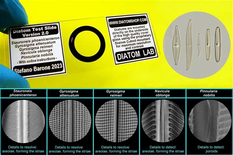 Diatom Test Slide Version 20 Test Slides For Optical Microscopy And