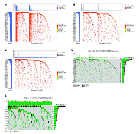 The Primary Mutations Were Screened By Whole Exon Sequencing And A Download Scientific Diagram