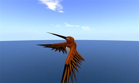 Second Life Marketplace Rufous Hummingbird Avatar