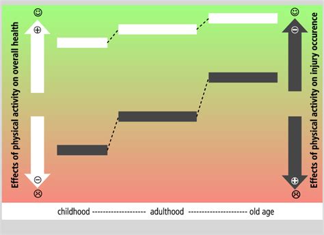 Synthesis Of The Association Between Physical Activity Behaviour And
