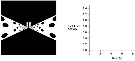 Scientists Identify Cells Involved In Correcting Errors During Spatial