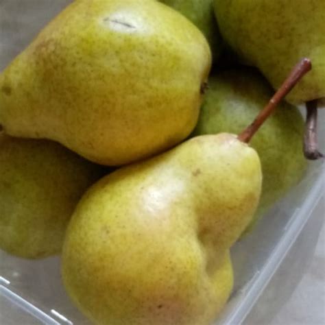 Pere Williams From Opera La Pera Vegan Product Reviews And Ratings Abillion