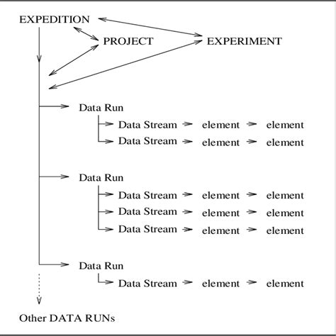 Database Organization Download Scientific Diagram