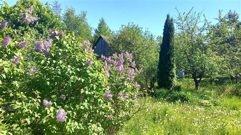 Земли сельхозназначения Московская область городской округ Истра