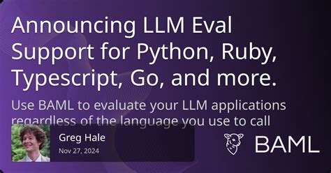 Announcing Llm Eval Support For Python Ruby Typescript Go And More