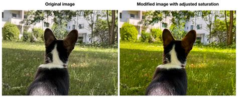 Calculating Image Derivatives Using A Custom Metal Shader In Swift By Rouzbeh Abadi Medium