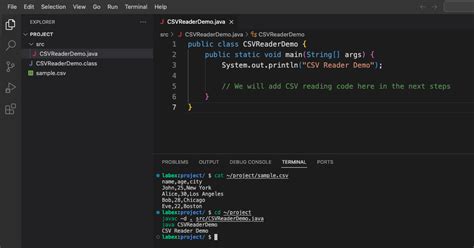 How To Read A Csv File In Java Labex