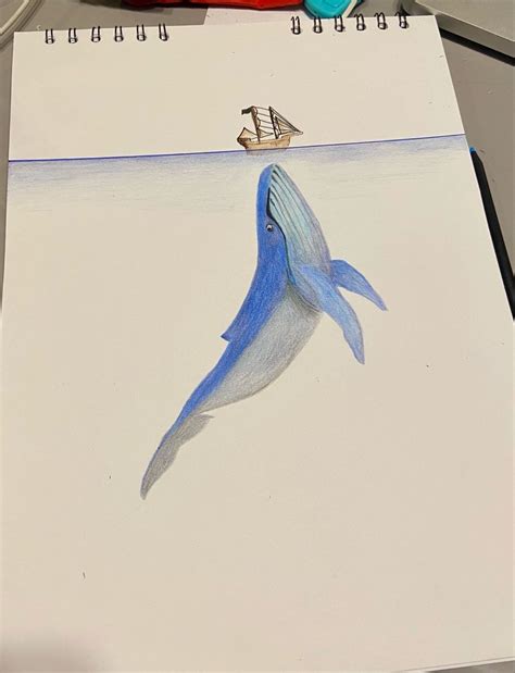 Ballena Dibujo Facil