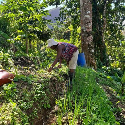 Amanda Goodwin On Linkedin Globalcfah Globalcfah