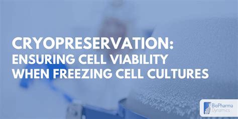 Cryopreservation Ensuring Cell Viability When Freezing Cell Cultures