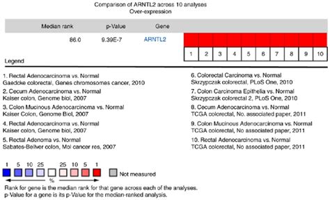 Oncomine Analysis Of Arntl2 Mrna Expression Levels In The 10 Download Scientific Diagram