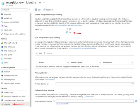 Learn About Mirroring For Microsoft Fabric For Data Replication