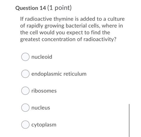 Solved Question 14 1 Point If Radioactive Thymine Is Added